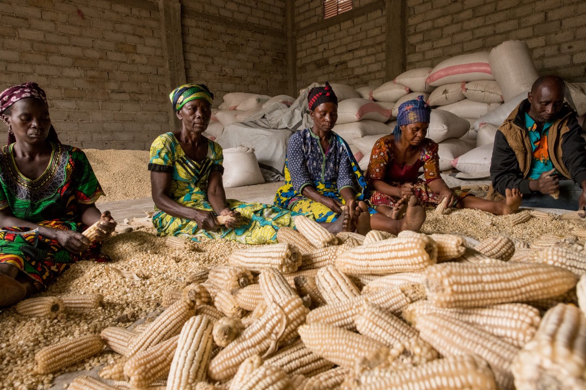 Nile Fresh Produce Ltd. – is among the leading maize grain producers in ...